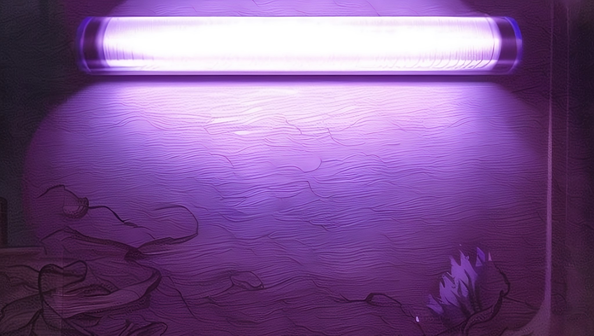 Research Into Far-UVC Systems Can Help Us Prevent the Next Pandemic ...